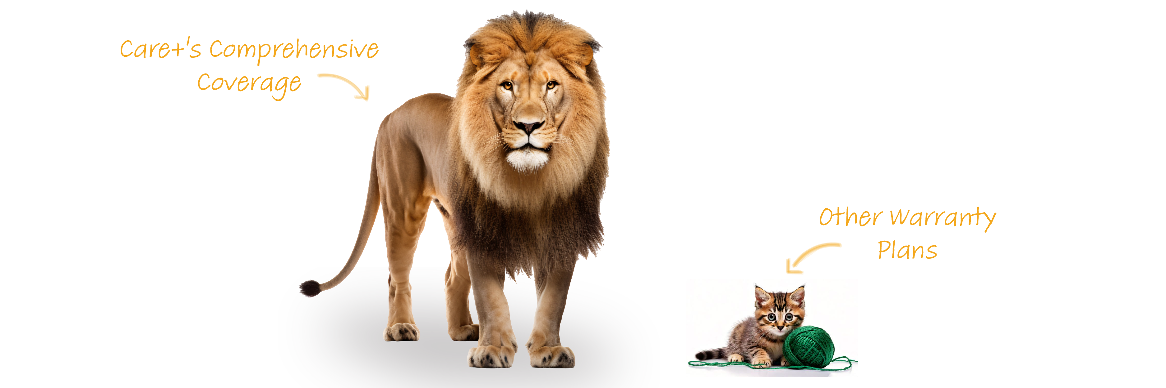 Nice Difference Care+ by Christian Brothers Automotive